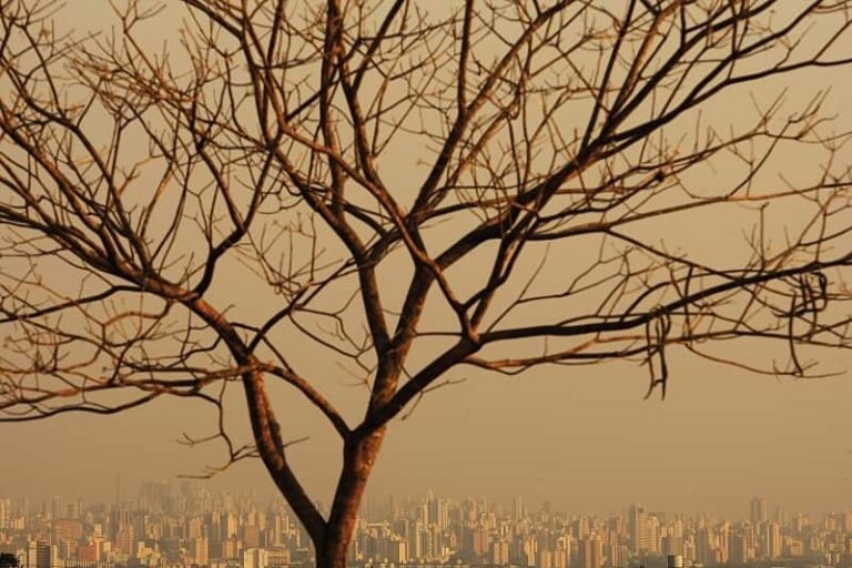 O que é a Estiagem? Quais suas consequências? E uma solução alternativa ...